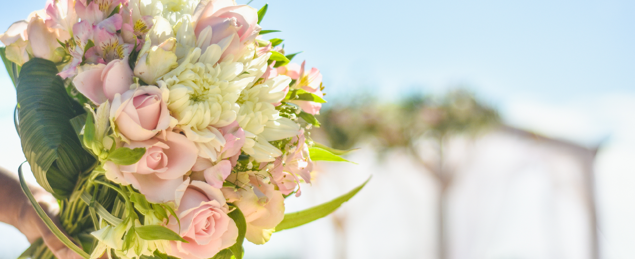 Destination Management Company & Event Planner in Mauritius
